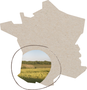 Notre label : le label IGP - IGP