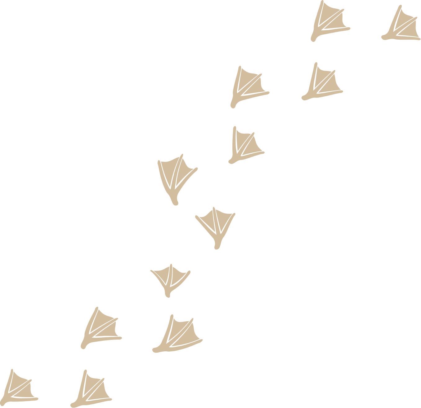 Notre label : le label IGP - IGP